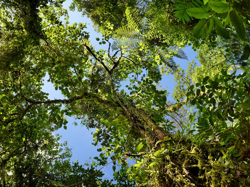 Sky Factory - Master Image 6td