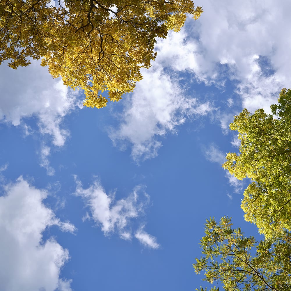 Sky Factory Master Image 8eq