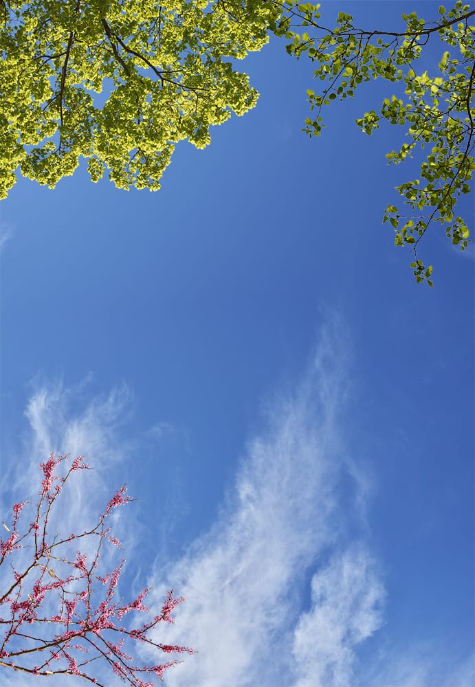 Sky Factory Master Image 8ng