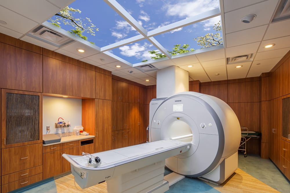 Sky Factory Installation - Northfield Hospital