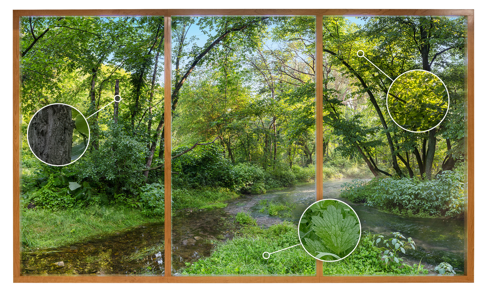OpenView Luminous Virtual Window - Biophilic Art - Digital Window