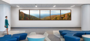 OpenView Luminous Virtual Windows - Biophilic Art Design