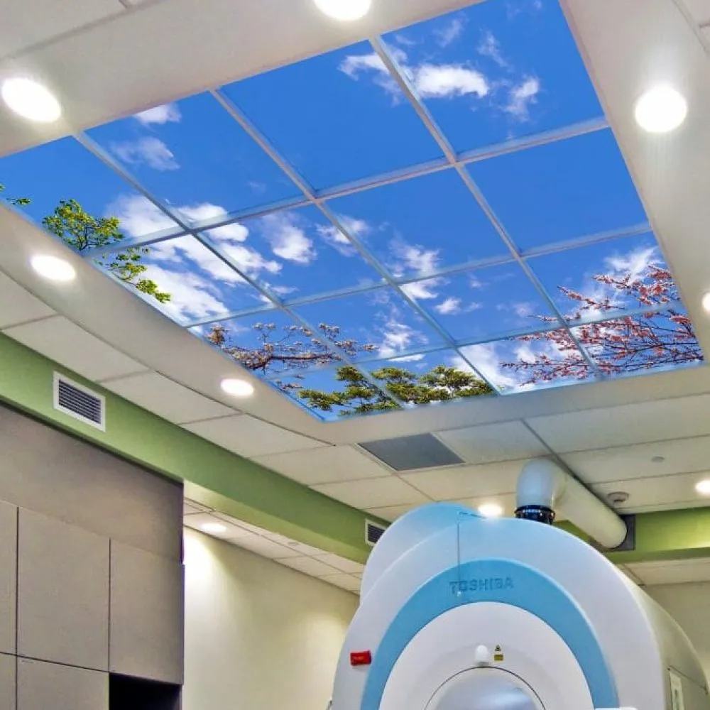 Sky Factory - France Installation - Clinique du Parc Lyon